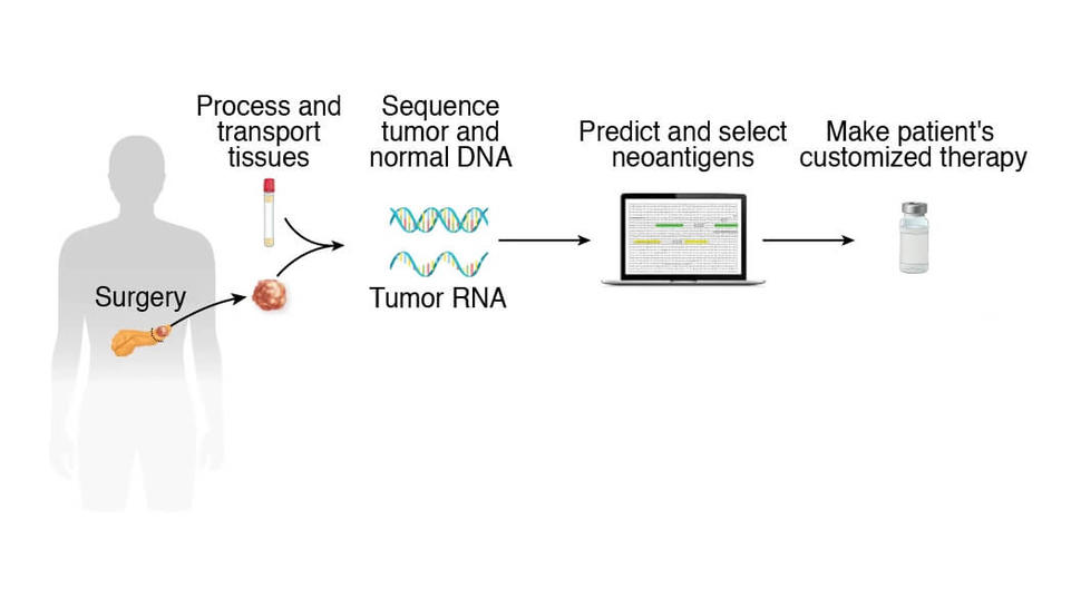 Neoantigen Vaccines Keep Kidney, Pancreatic Cancer at Bay - NCI